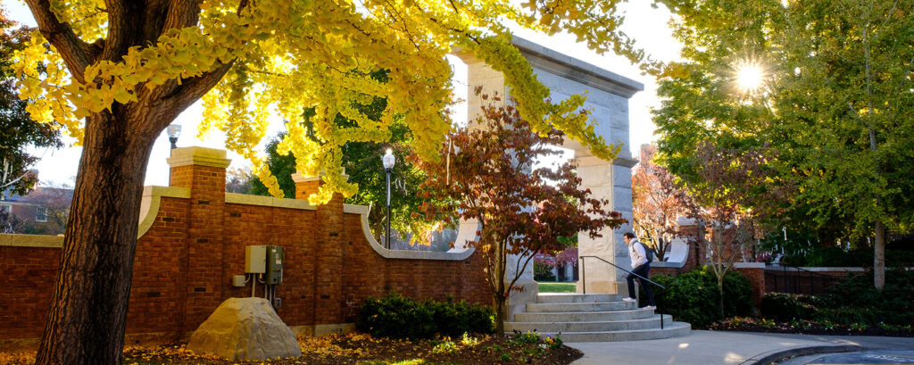 Wake Forest University