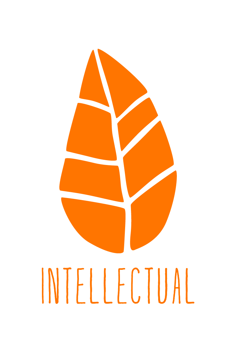 Thrive | Division of Campus Life | Wake Forest University