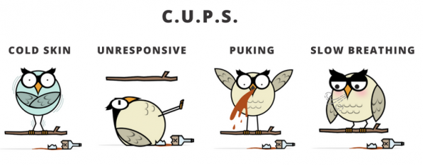 Examples | Office of Wellbeing | Wake Forest University