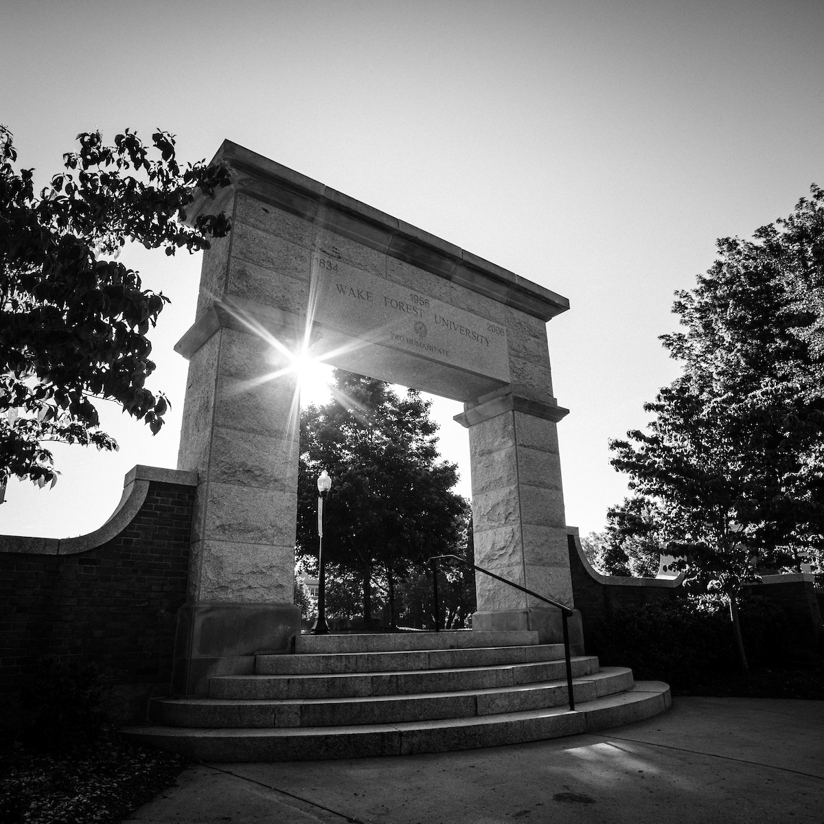 Update on Diversity and Inclusion Efforts at Wake Forest - President ...