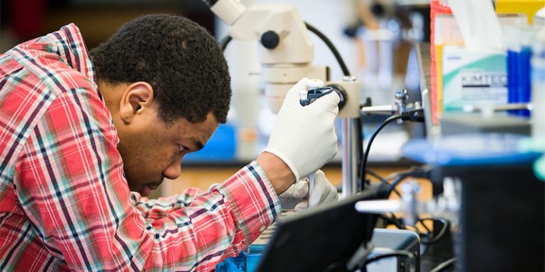 Undergraduate Majors & Minors | Undergraduate Admissions | Wake Forest University