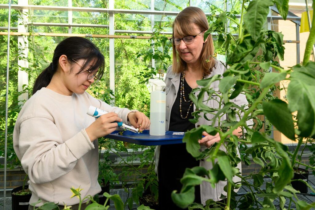 Environmental Science | Majors & Minors | Wake Forest University