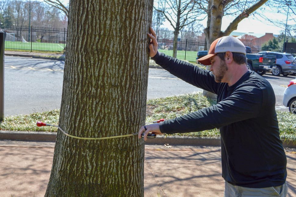 The Tree Doctor Is In - Facilities, Real Estate and Planning