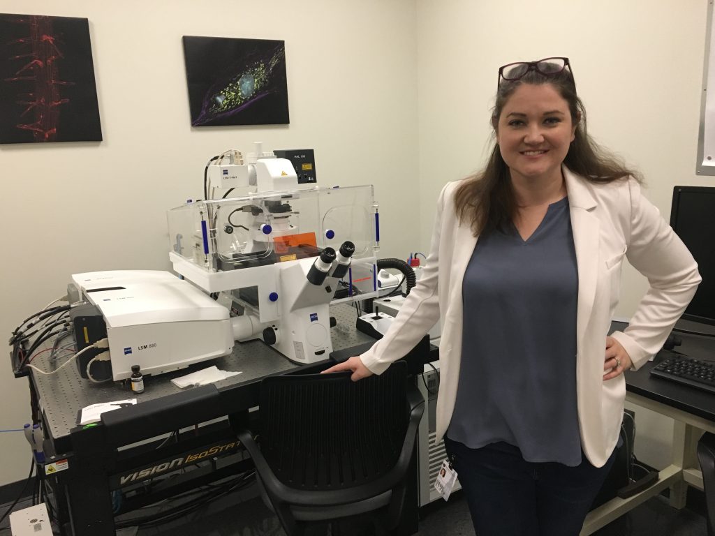 Faculty-Student Engagement: Microscopy - Undergraduate College