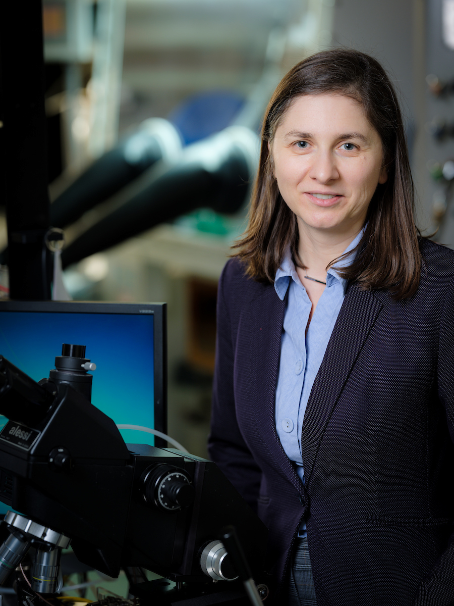 Jurchescu Named Baker Family Professor of Physics - Undergraduate College