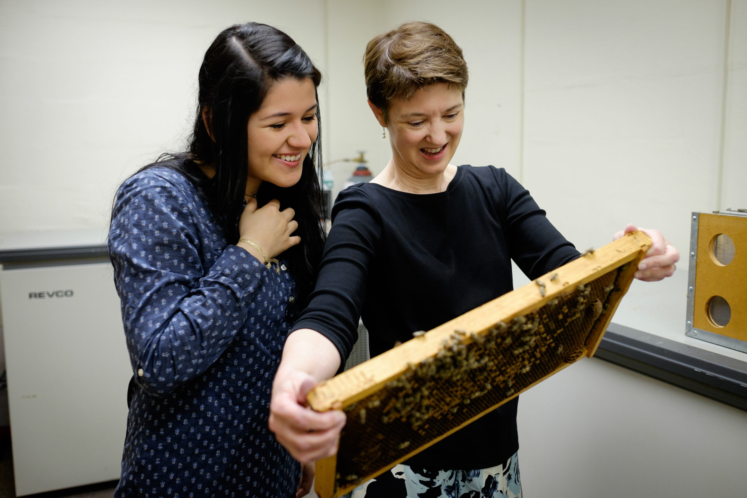 Pursuit of science | Wake Forest News