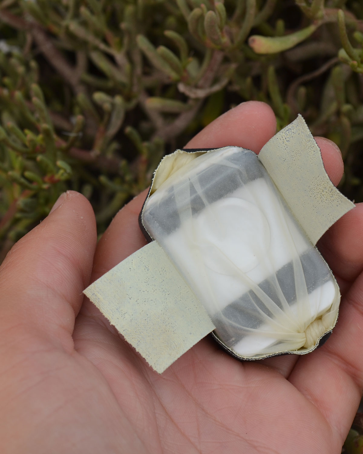 New study takes a high-level look at Nazca boobies’ breeding | Wake ...