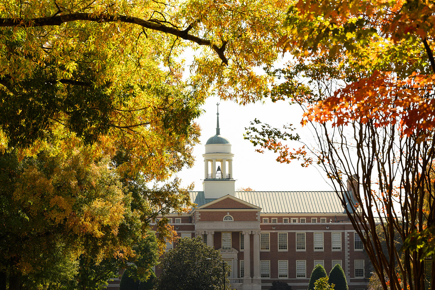 Faculty Toolkit | Wake Forest News | Wake Forest University