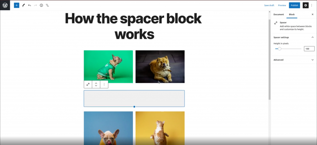 Spacer WordPress Guide Wake Forest University