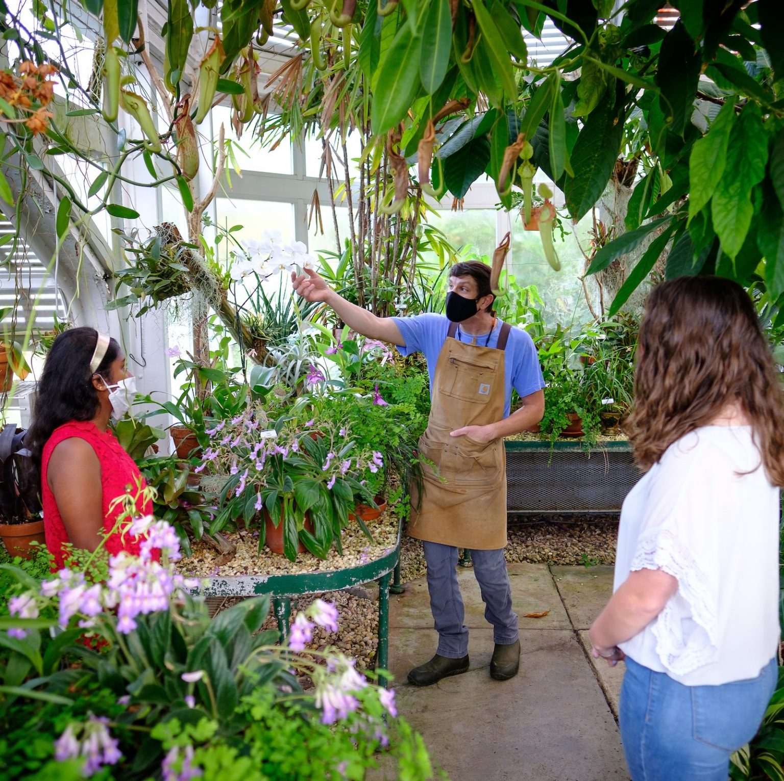 Summer Immersion Program - Summer Immersion Program