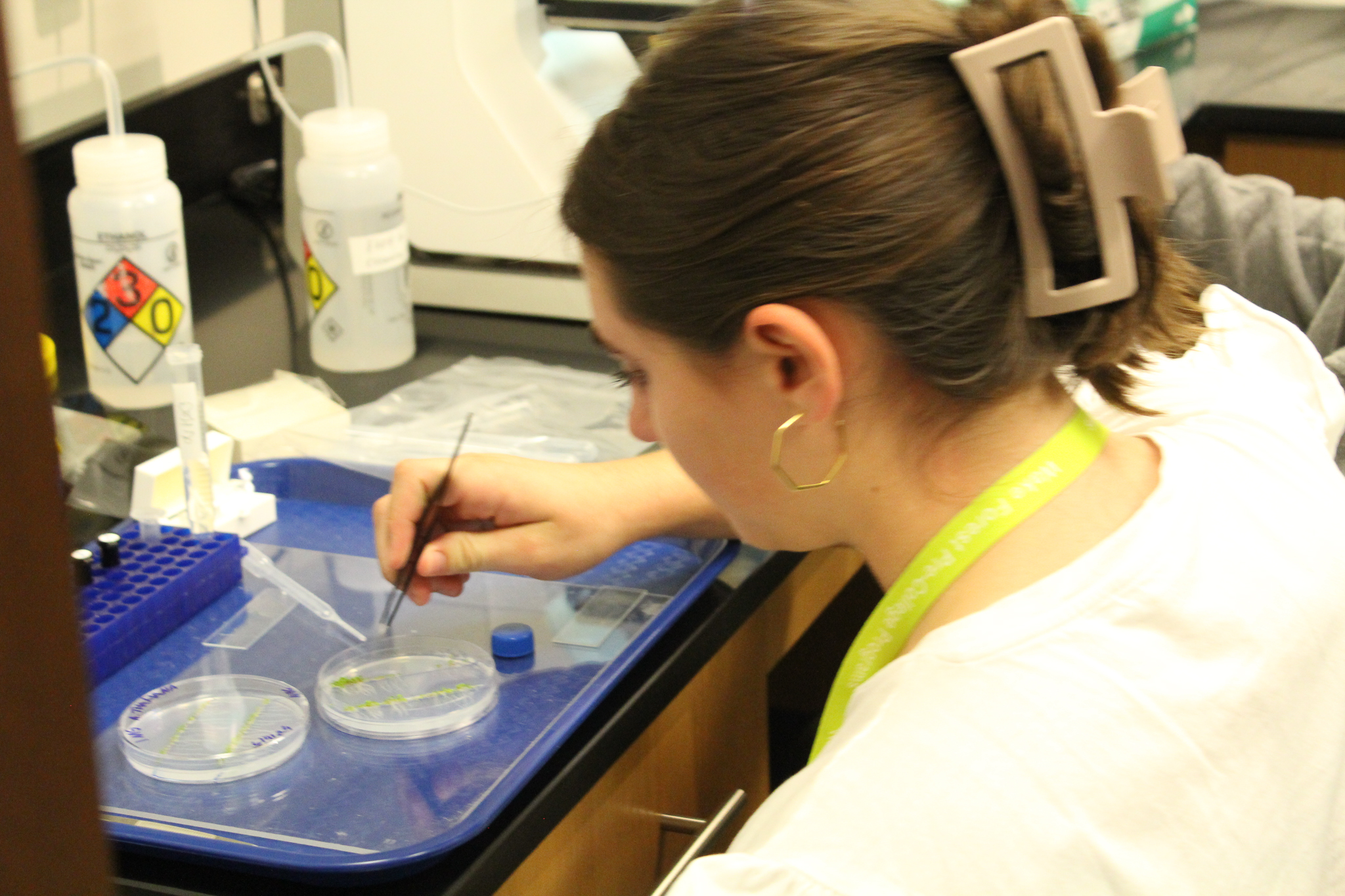 Biology Research Institute | High School Summer Program
