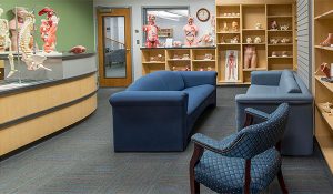 Libraries | About Wake Forest | Wake Forest University