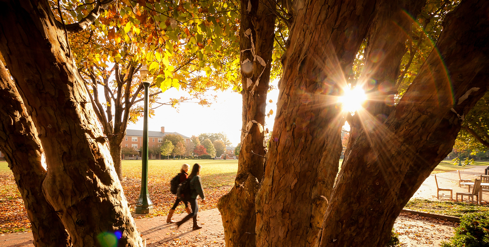 Workday @ Wake - Workday