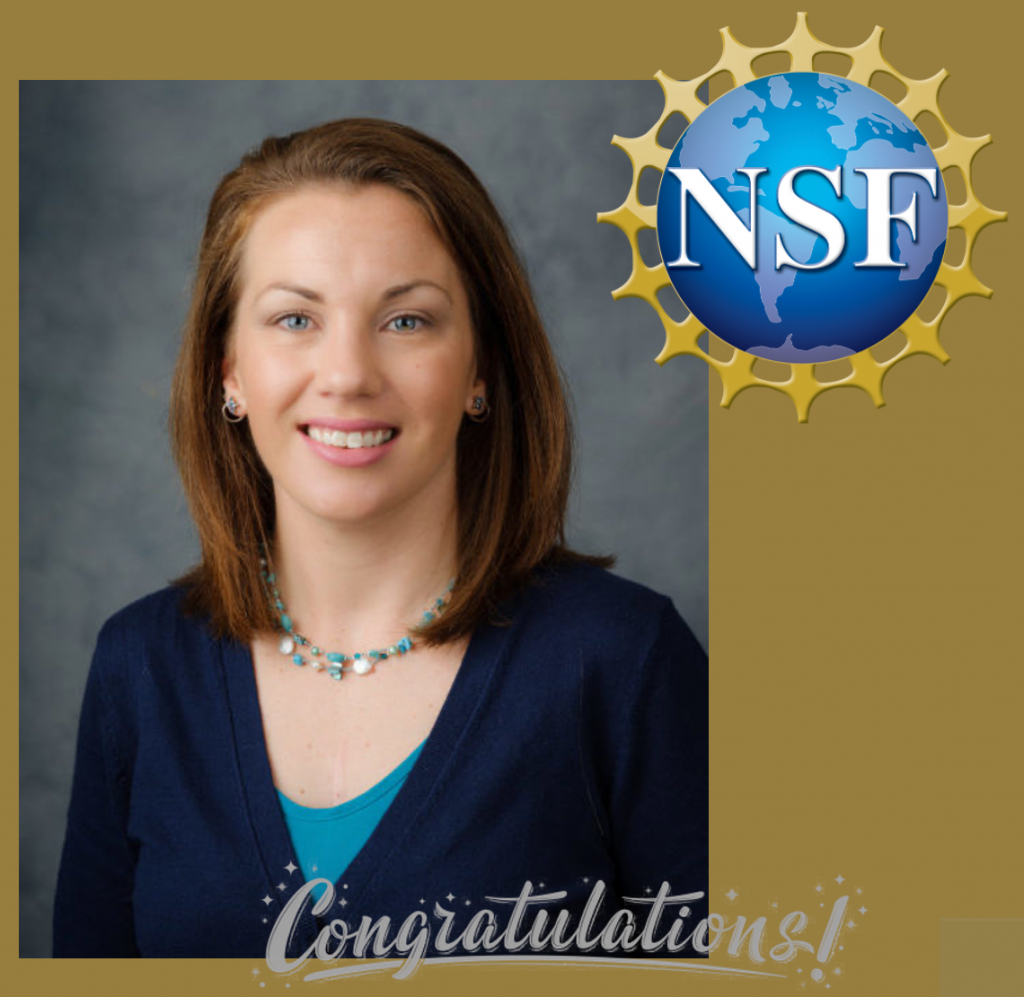 NSF Award - Dr. Erin Henslee | Department of Engineering