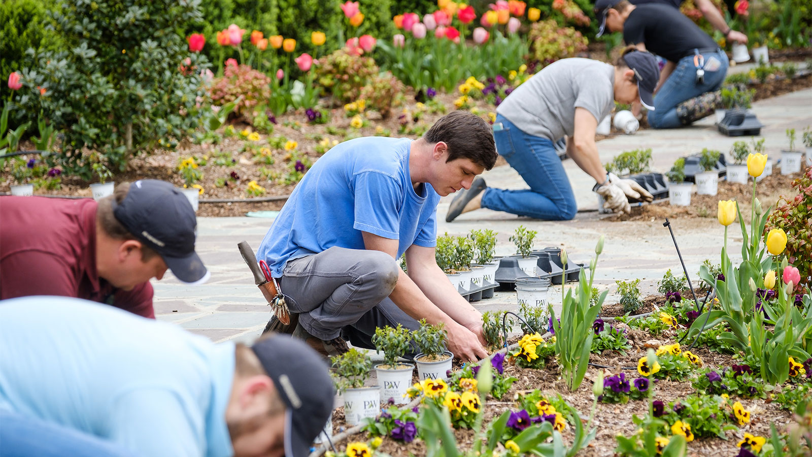 Pro Humanitate | Accepted Students (Class of 2029) | Wake Forest University
