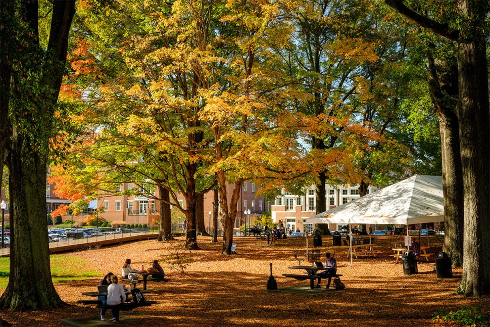 My Favorite Campus Spot | Accepted Students | Wake Forest University