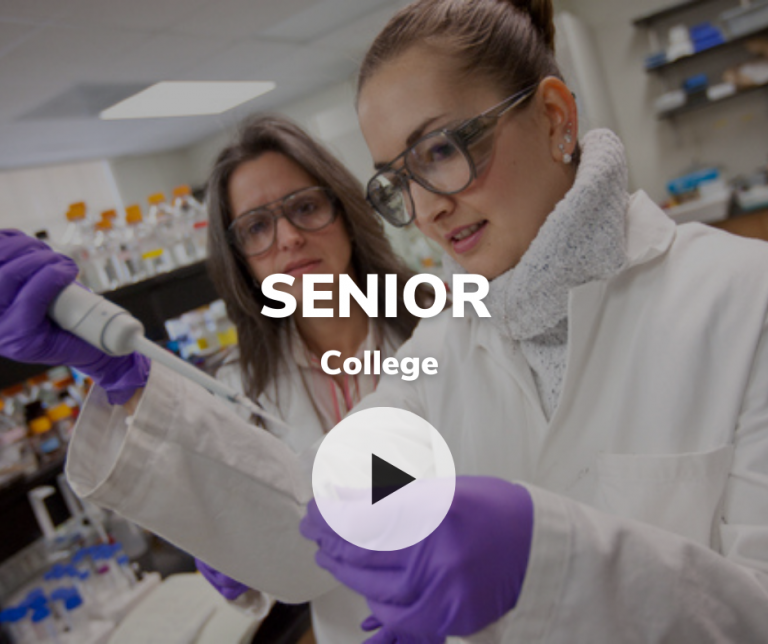 The OPCD - Office of Personal & Career Development