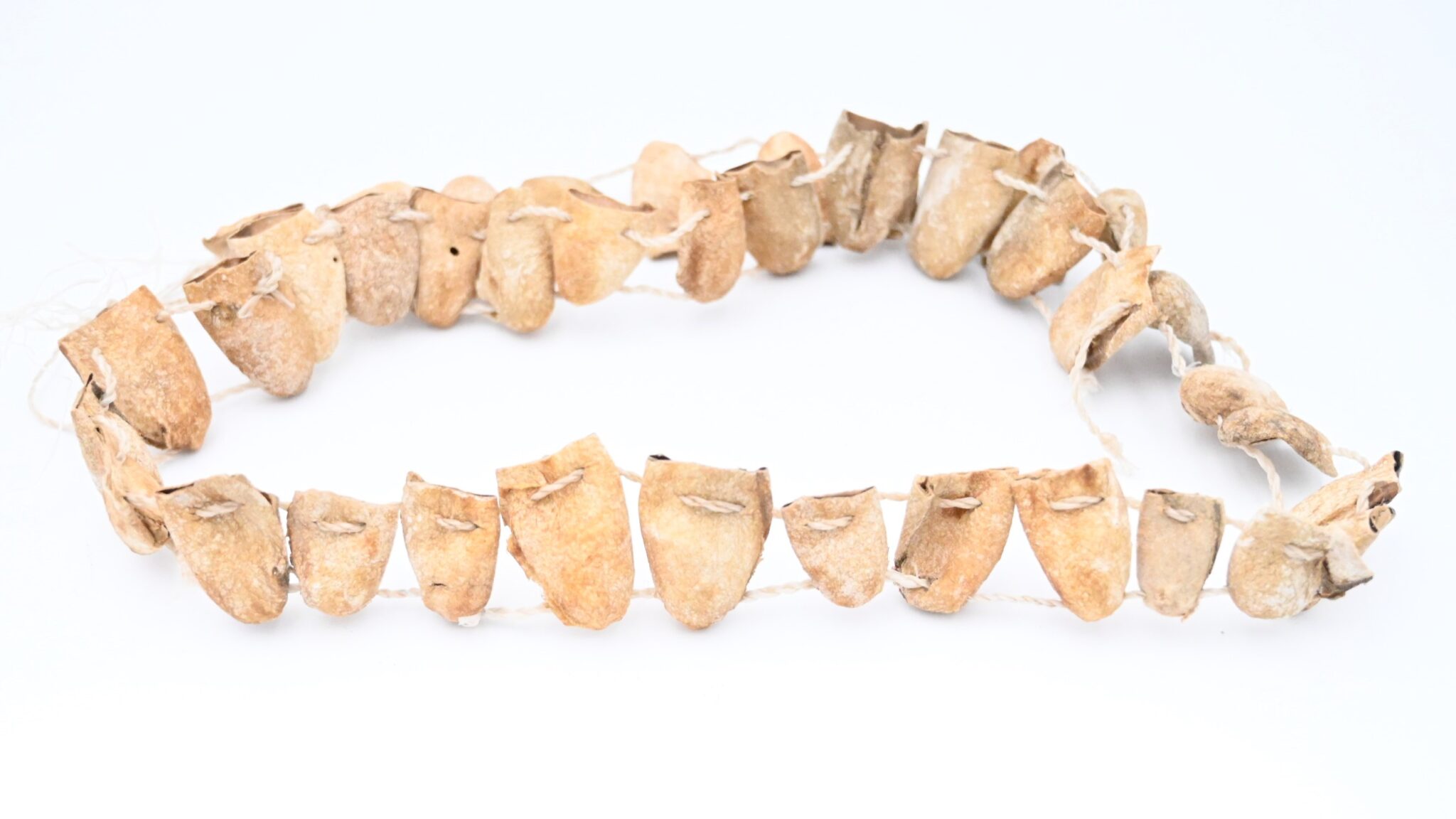 Beyond Drumming: African Musical Instruments - Timothy S. Y. Lam Museum ...