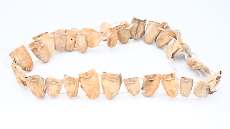 Beyond Drumming: African Musical Instruments - Timothy S. Y. Lam Museum ...