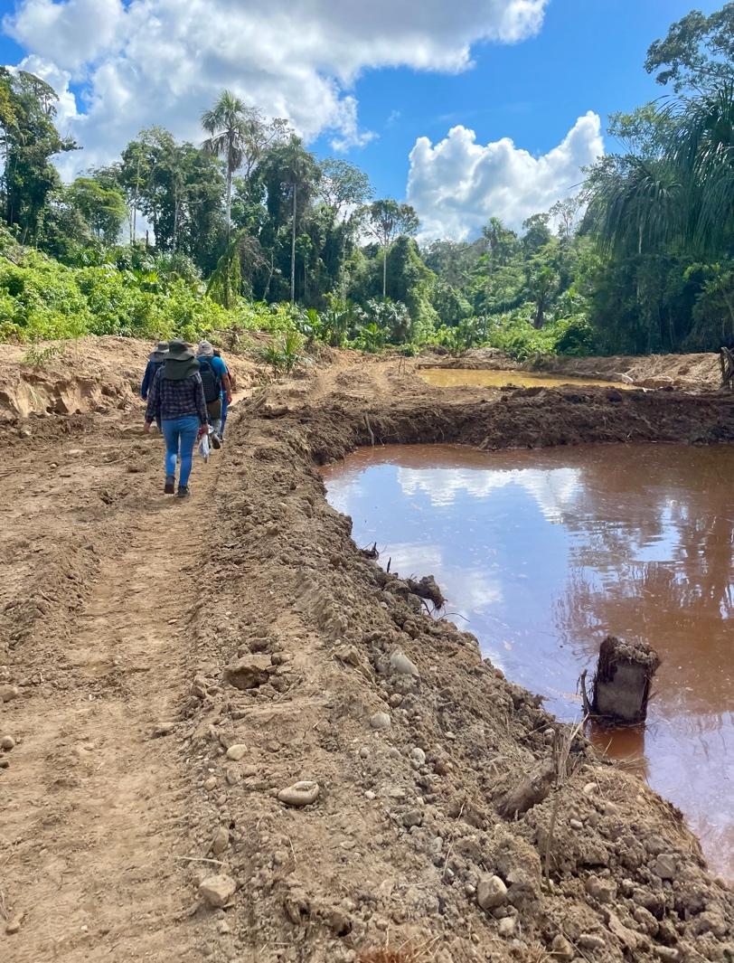 Fungi: An Unexpected Guide to Amazon Rainforest Conservation - The ...
