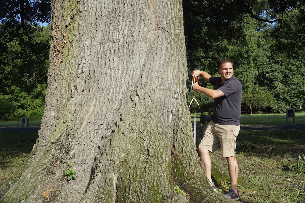 An Unexpected Career as a ‘Tree Nerd’ | Wake Forest Magazine