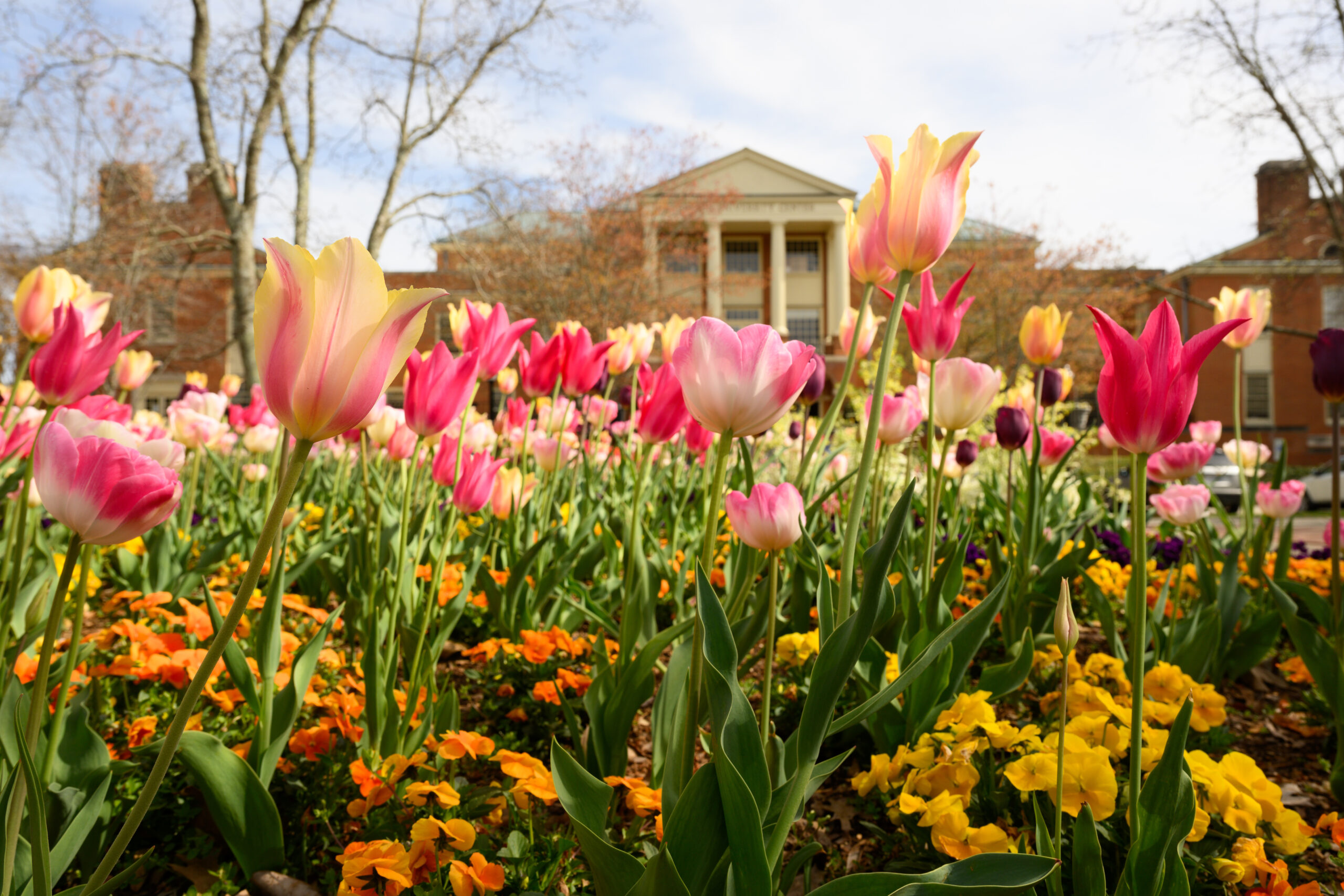 Project Update 5 - Project WakeDay