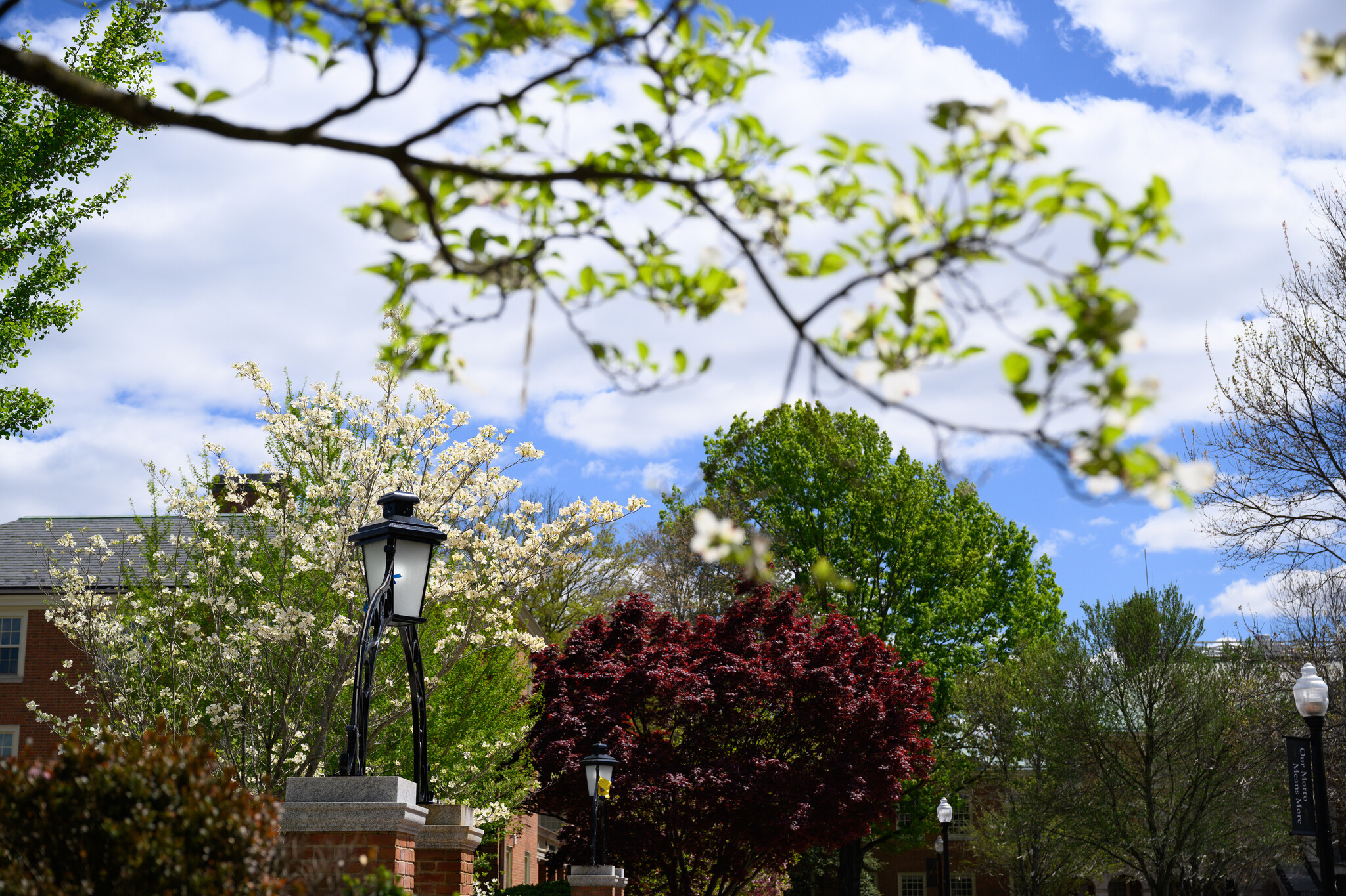 Workday Student Support for New Students - Project WakeDay