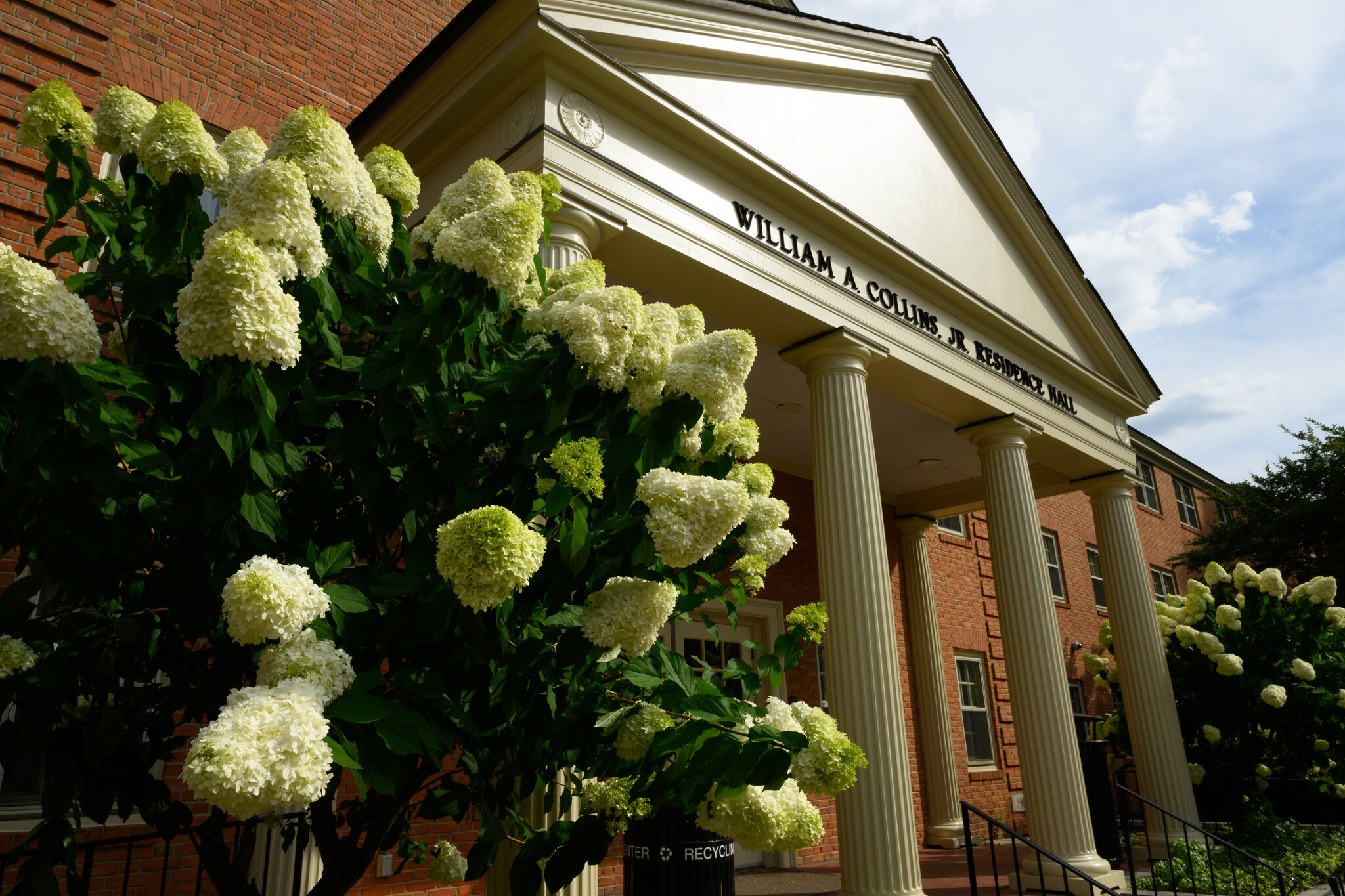 Workday Support for Current Students - Project WakeDay