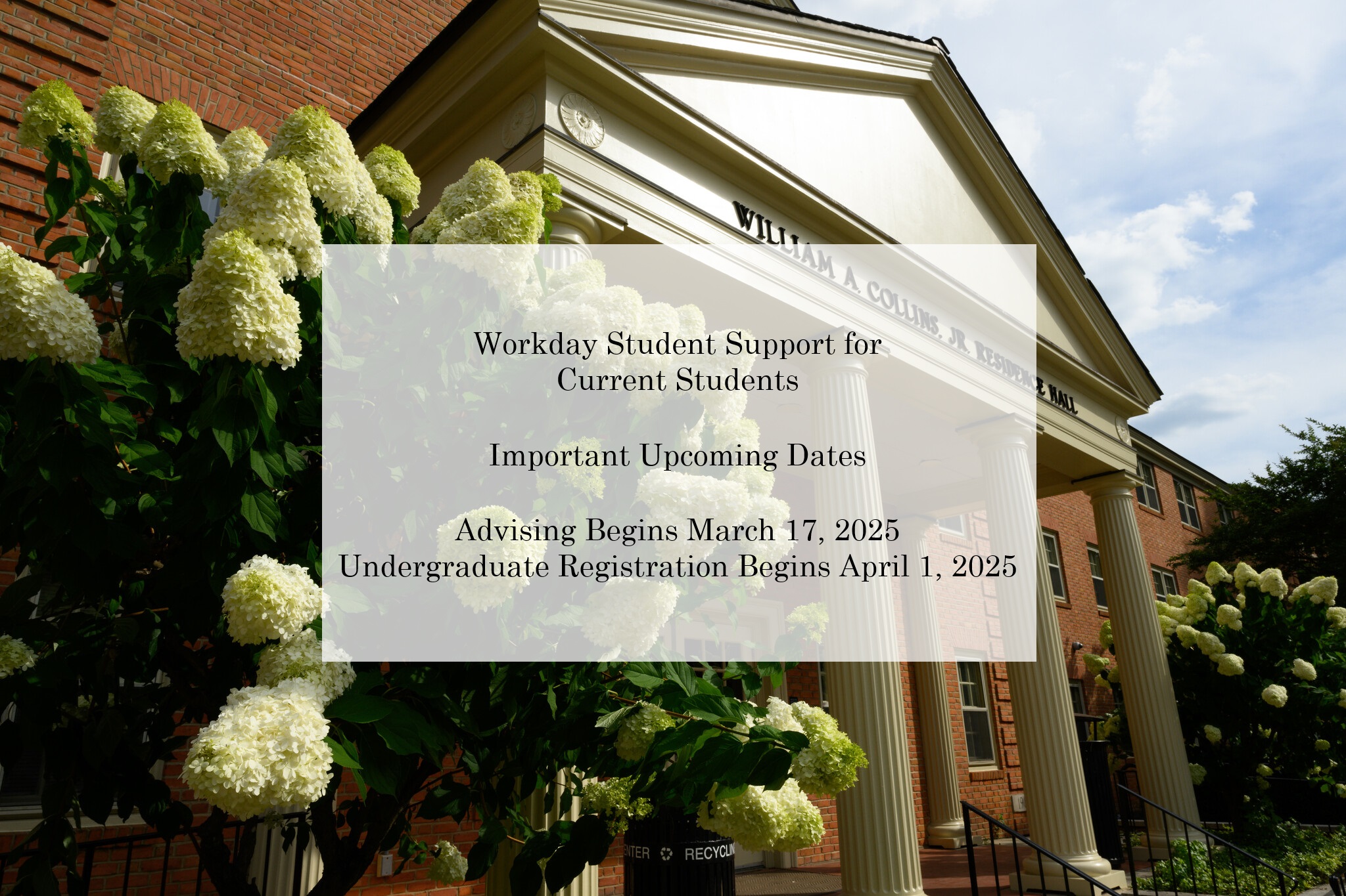 Workday Support for Current Students - Project WakeDay