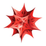 Software - Information Systems