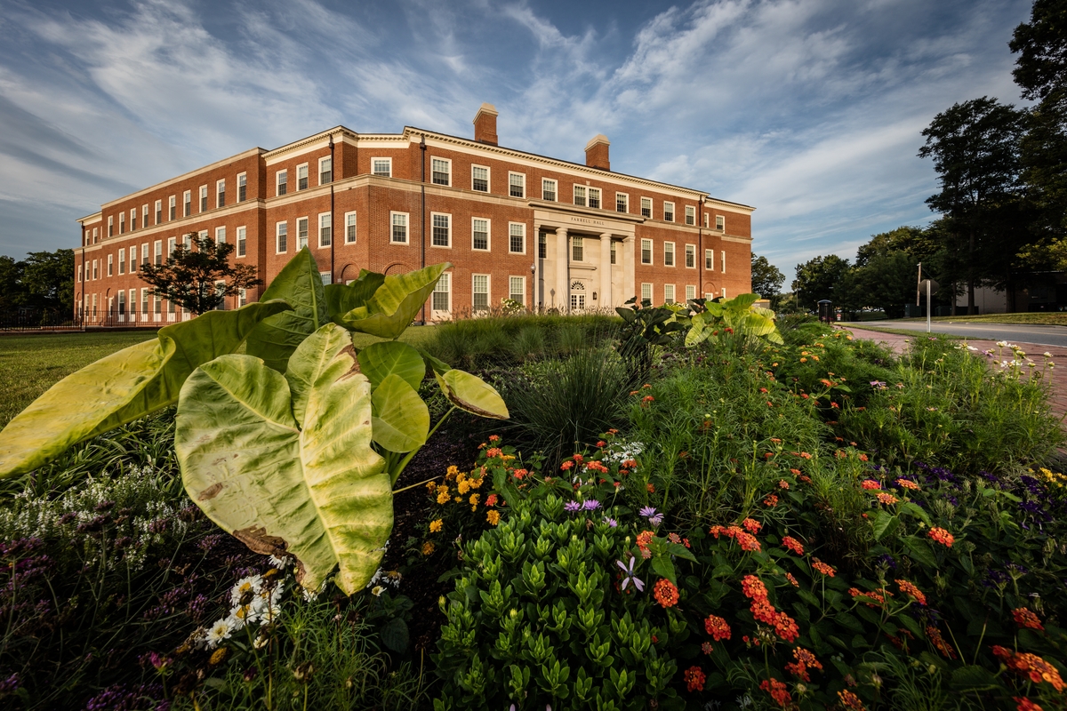 Current & Newly Admitted WFU Students - Summer Session