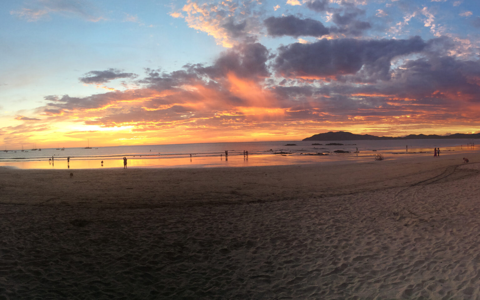 WFU/Costa Rica - Pura Vida Learning: Exploring Costa Rica through ...