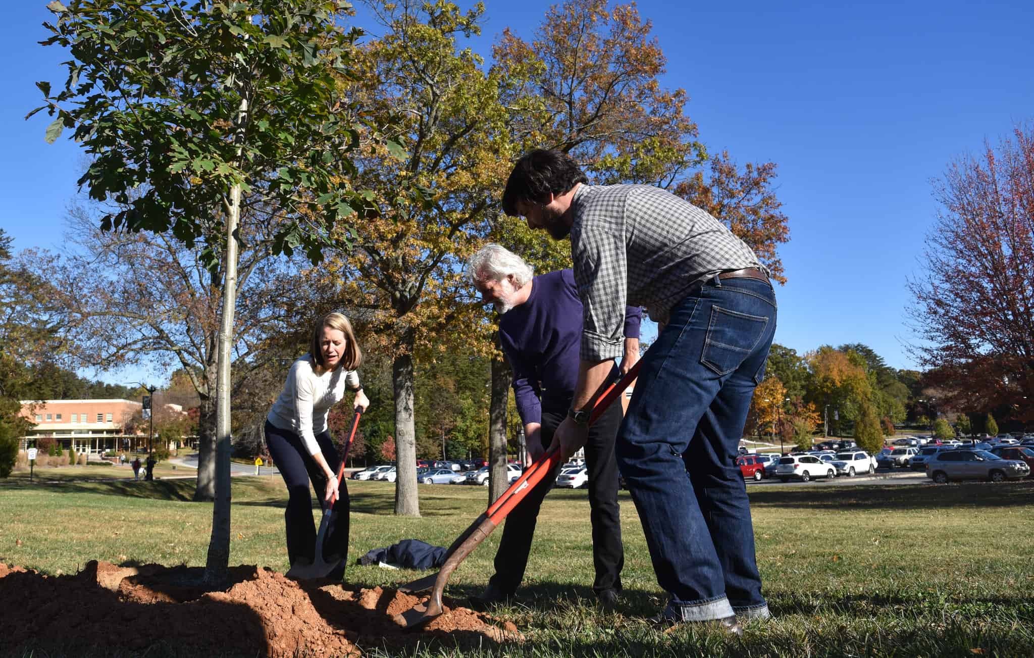 From Piano Keys to Georgia Trees - The Sabin Center for Environment and ...