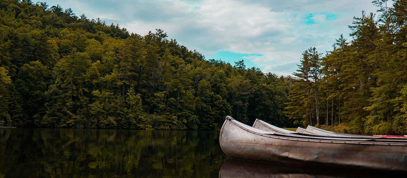 What's on at The Sabin Center - The Sabin Center for Environment and ...