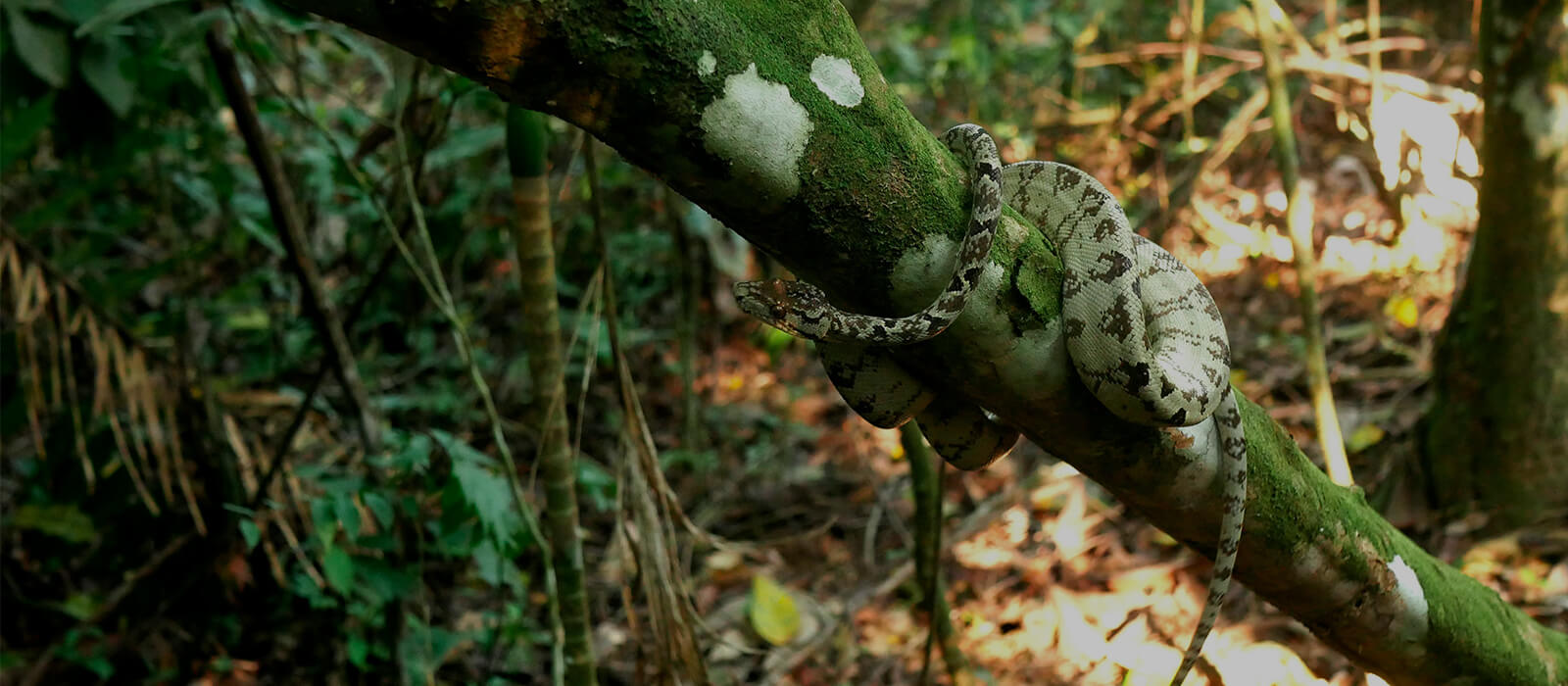 About Us - The Sabin Center for Environment and Sustainability