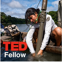 Vega's "The Hidden Cost of Gold" TED Talk Making Global Waves - The ...