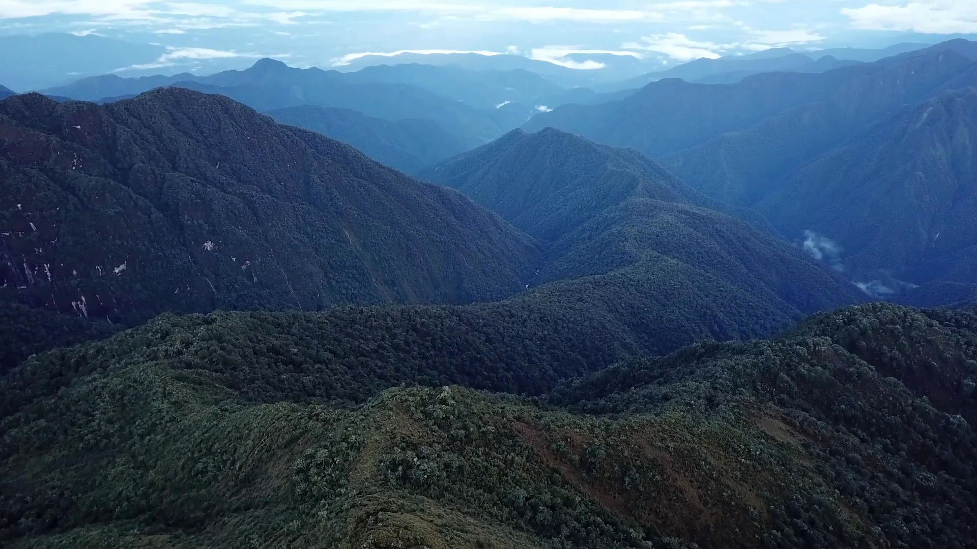 Andes-Amazon trees fail to keep up with climate change - The Sabin ...