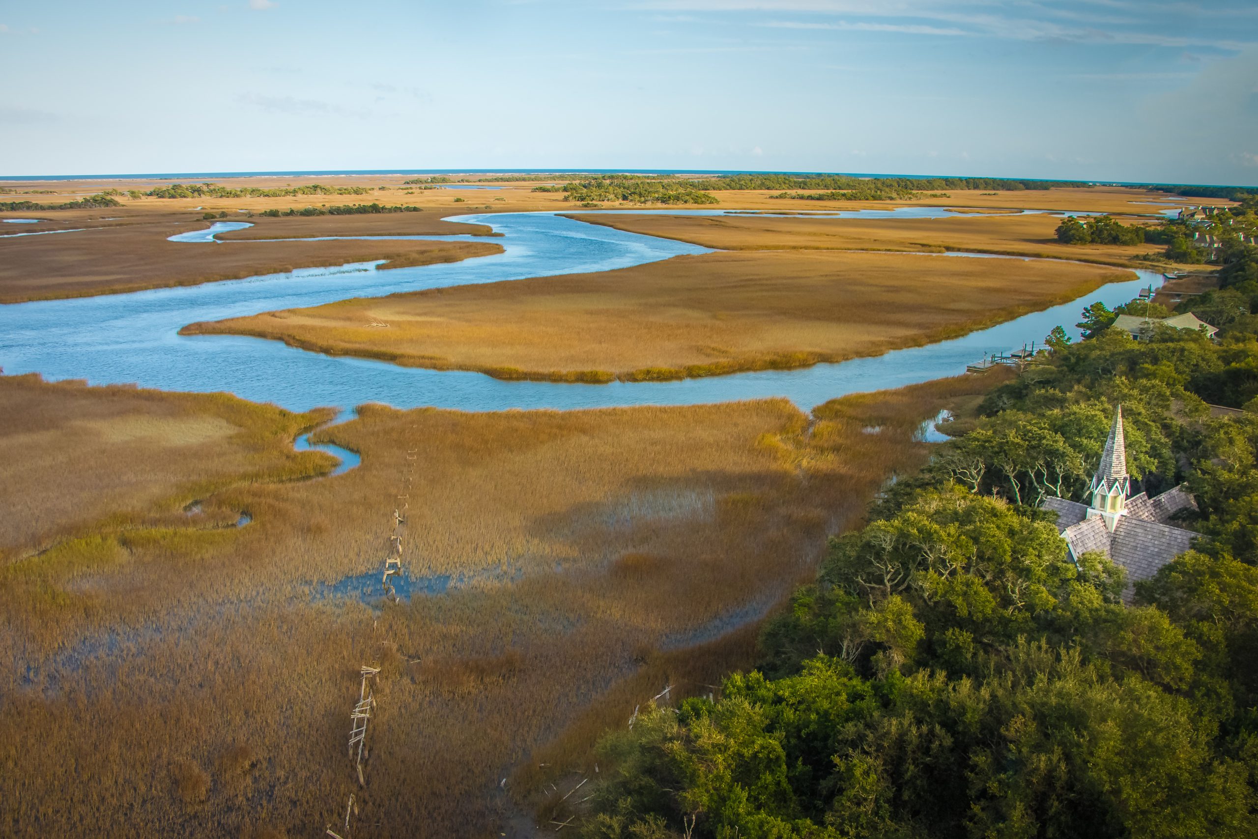 New Fellowship Supports Hands On Conservation at Carolina Coast - The Sabin Center for ...