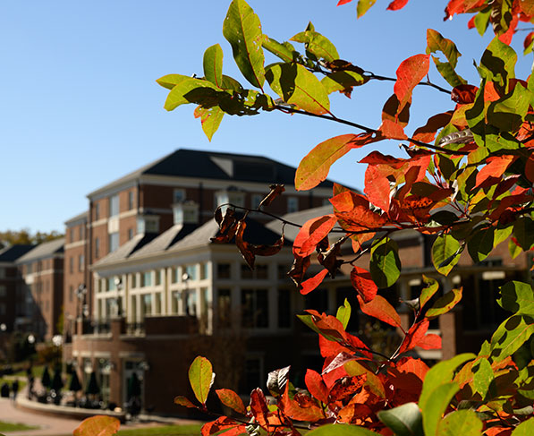 Home | Wake Forest University