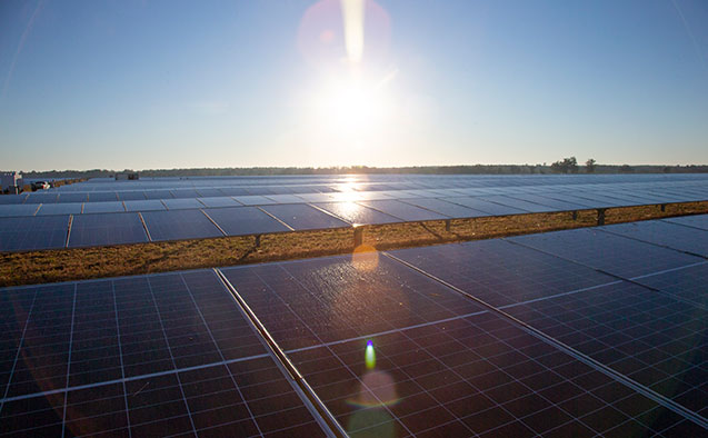 Wake Forest University commits to 100% renewable energy | Inside WFU