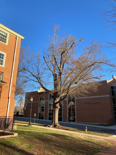 Tree removals to take place along McPherson Road May 22-24 | Inside WFU