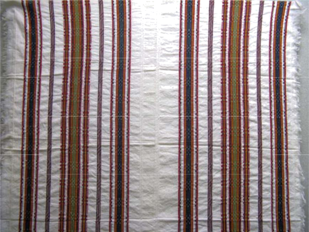 Healing Arts - Timothy S. Y. Lam Museum of Anthropology