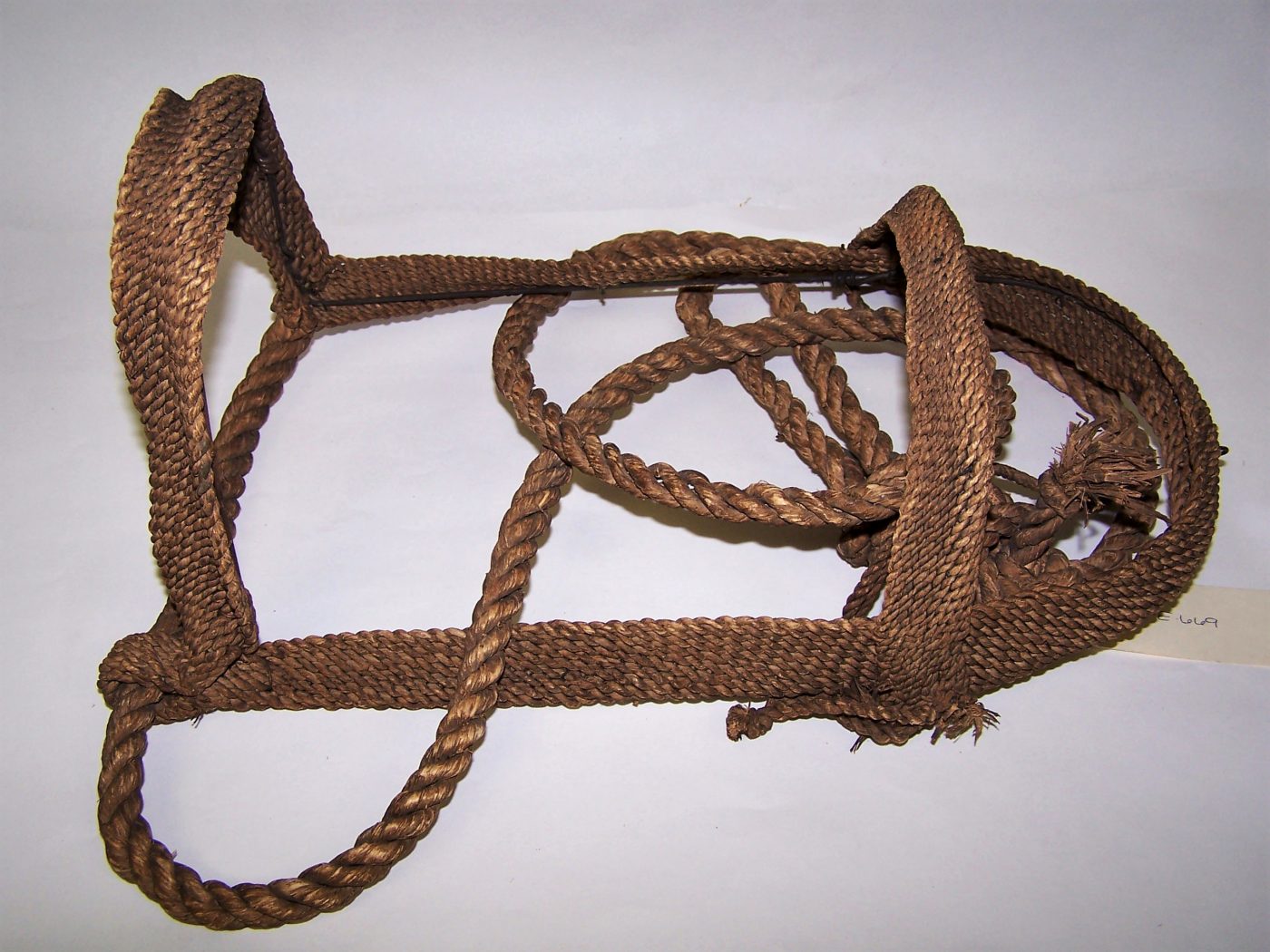 Labor and Transportation - Timothy S. Y. Lam Museum of Anthropology