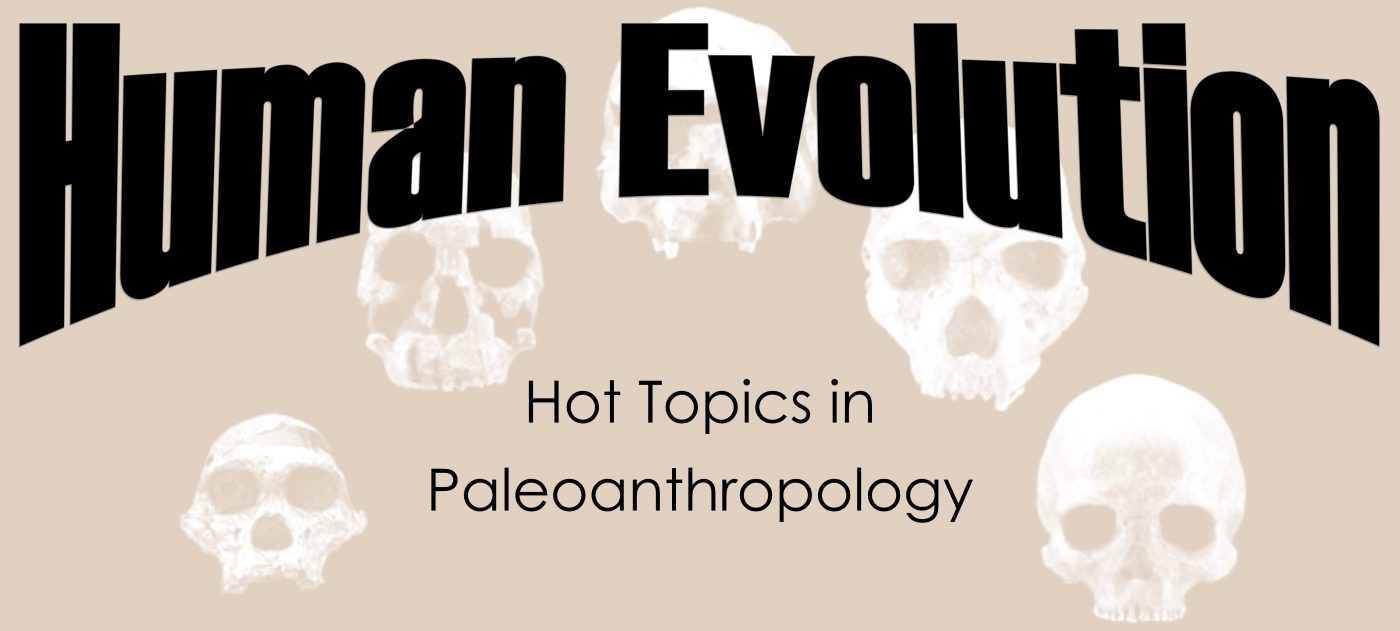 Human Evolution: Hot Topics in Paleoanthropology - Timothy S. Y. Lam ...