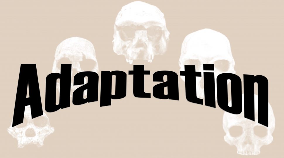 Adaptation: What Is Driving Human Evolution? - Timothy S. Y. Lam Museum ...