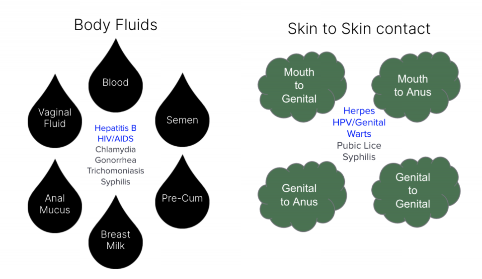 Sexual Health | Deacon Health | Wake Forest University